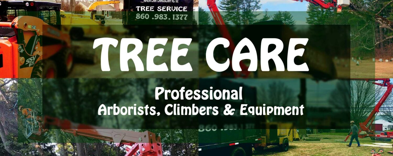 Tree Care & Removal Services In West Hartford, CT - American Landscaping